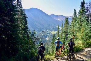 What is Elevation Gain in Cycling? How to Calculate it and Use it to ...